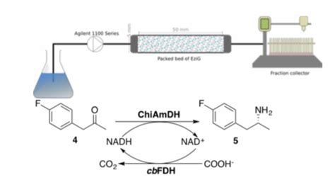 Continuous Flow For Biocatalysis Turner Biocatalysis
