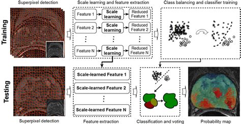 Pipeline Of The New Discrn Approach At The Training Stage Superpixel