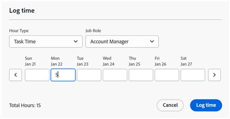 overview of the project task and issue dates in workfront adobe