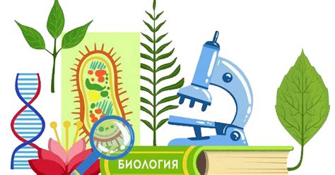 Календарне планування з біології 8 клас КТП Біологія