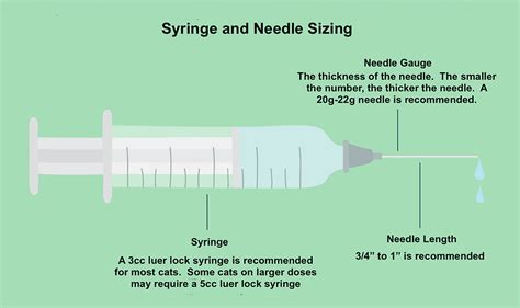Injections Fip Treatment Guide