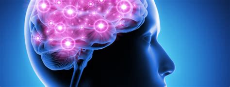 How Do Opioids Affect The Brain And Body The Treatment Specialist