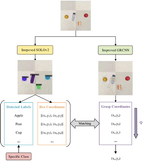 The Architecture Of Dg Bcm Algorithm Download Scientific Diagram