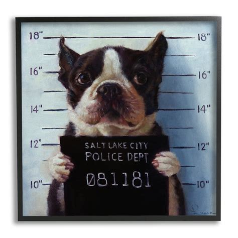 Stupell Industries Funny Boston Terrier Dog Jail Convicted Police