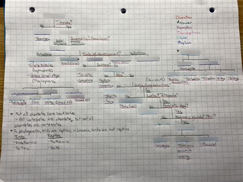 Phylogenetic Tree Diagram Quizlet Phylogenetic Tree Diagram Quizlet