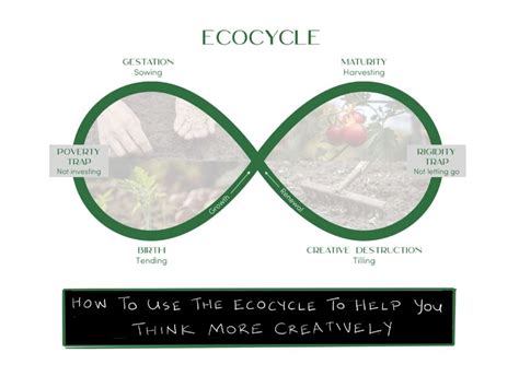 Spring Leadership On Linkedin Ecocycle Liberatingstructures Verticaldevelopment Leadership