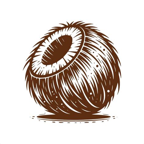 Coconut Art Illustration 46308284 Vector Art At Vecteezy