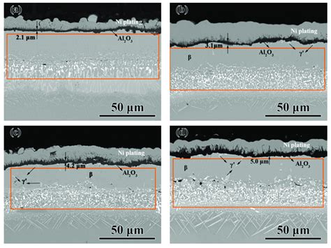 Cross Sectional Morphologies Of Ni Pt Al Coating After Isothermal