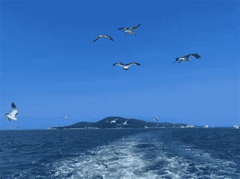 Linux 段错误核心转储的终极指南 Bytezonex社区