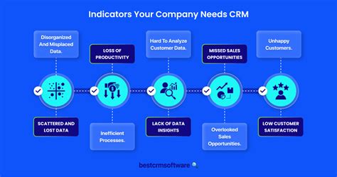 Why Your Company Needs Crm Software A Complete Overview Bestcrmsoftware