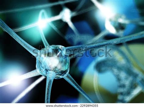 Neuron Neuron Transmits Signal Nerve Node Stock Illustration 2292894355