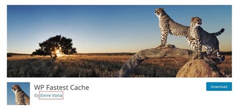 WordPress Browser Caching Plugins You Should Use With Your Site Code Geekz