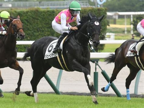 【ai予想・神戸新聞杯】春までに実績重ねた実力馬が力通りの走り Aiも前走ダービー組への期待高く 競馬ニュース Netkeiba