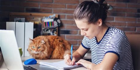The Best Free Online Data Analytics Courses Guide