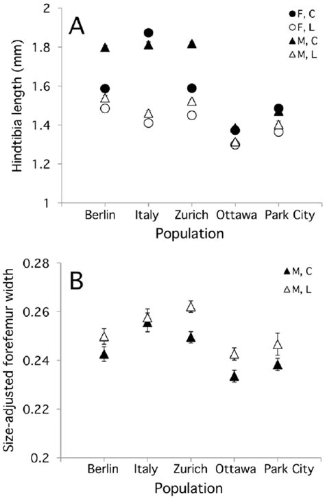 Effect Of Food Treatment And Sex On A Hindtibia Length And B