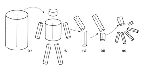 3 object recognition flashcards quizlet