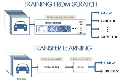 Neural Networks 101 Part 6 Transfer Learning Christopher Coverdale Blog