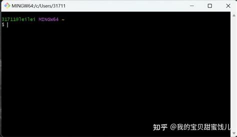 Windows Terminal集成Git Bash及终端美化 知乎