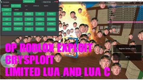 roblox hack chrysploit patched lua c and limited lua script executor