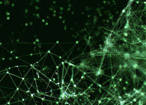 Deep Learning In Macroeconomic Forecasting — Us Unemployment By Nick Hallmark Medium