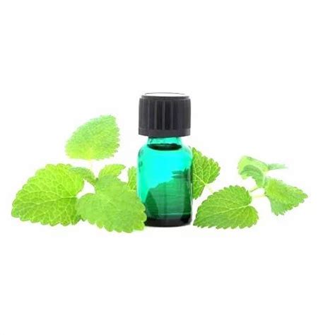 Melissa Oil At Kg Melissa Phytol Absolute Oil Ljpc Fao In Noida Id