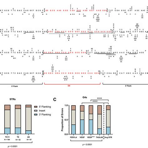 Human Dna Polymerase Error Rates Within The Hsv Tk Assay Download