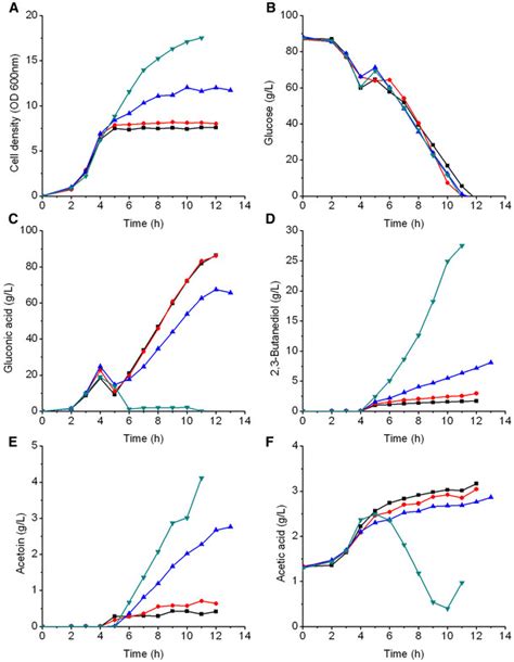 Effect Of Ph On Gluconic Acid Production By K Pneumoniae Δgad A Cell