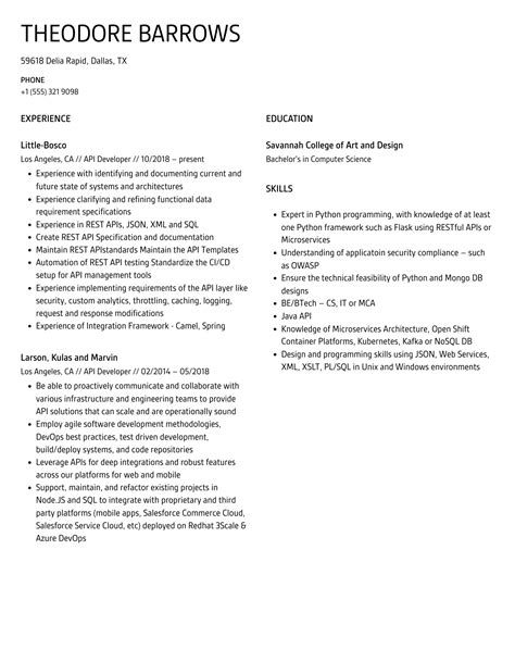 Api Developer Resume Samples Velvet Jobs