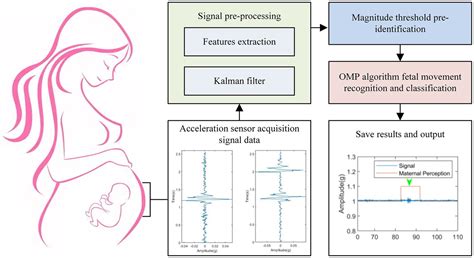 Frontiers A Wearable Fetal Movement Detection System For Pregnant Women