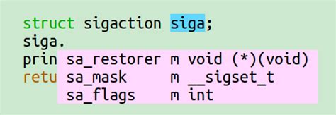 c youcompleteme can not complete sigaction struct correctly stack