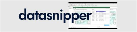 How Datasnipper Can Maximize Your Business Excel Insights