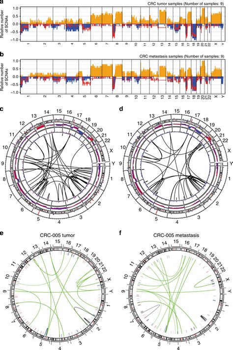 Recurrent Somatic Copy Number Aberrations And Structural Variations Download Scientific