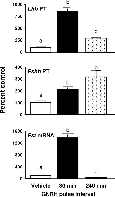 the effect of gnrh pulse frequency on lhb and fshb pts and fst mrna