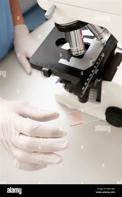Female Lab Technician Analyzing A Sample In A Laboratory Stock Photo Alamy