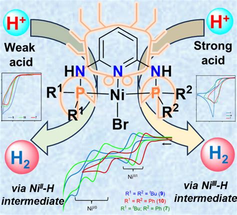 Electrocatalytic Hydrogen Generation By Ni‐pn3p Pincer Complexes Role Of Phosphorus