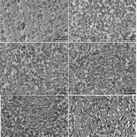 Microstructure Of The As Cast And Microstructure Of Forged Ingot At