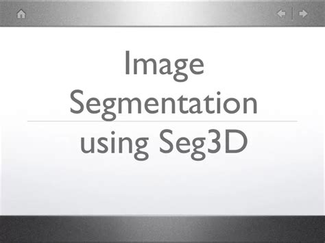 Ppt Image Segmentation Using Seg3d Segmentation From Clinical Scans Powerpoint Presentation