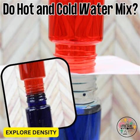 What Does Buoyancy Mean Buoyancy Examples