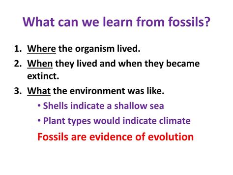 ppt fossils powerpoint presentation free download id 2161917