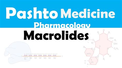 Macrolides Erythromycin Antibiotics Pharmacology Pashto Youtube