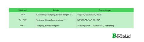Penjelasan Detail Penggunaan Wildcard Pada Rumus Excel