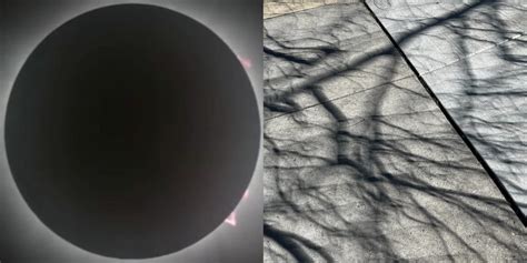 Photos Show 3 Hidden Gems You Missed From The Total Solar Eclipse