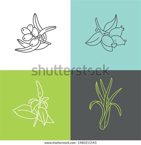Vector Set Design Colorful Templates Logo Stock Vector Royalty Free Shutterstock