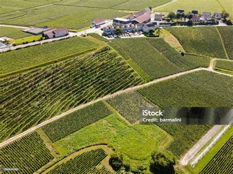 프랑스 에페르네이 근처 샴페인 지역의 녹색 포도원에 대한 공중 보기 분필 토양에서 자라는 화이트 샤도네 와인 포도 0명에 대한 스톡 사진 및 기타 이미지 Istock