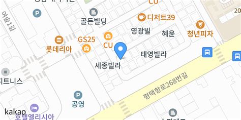 치킨과바람피자 평택포승점 카카오맵