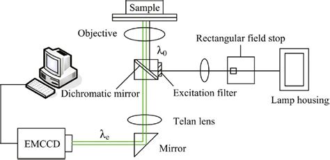 Tirf Microscopy Setup Download Scientific Diagram