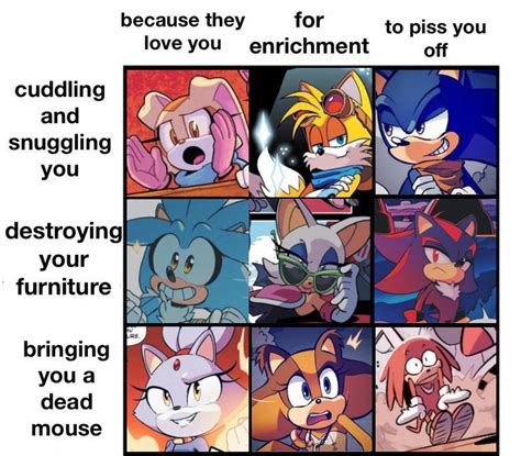 Sonic Meme Returns Sonic Funny Sonic Fan Art Sonic