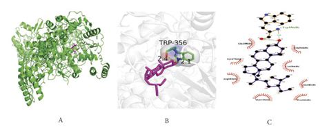 Schematic Diagram Of Molecular Docking Results In Less Than