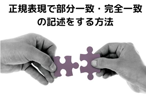 正規表現で部分一致・完全一致の記述をする方法 みやびのどっとぴーわい