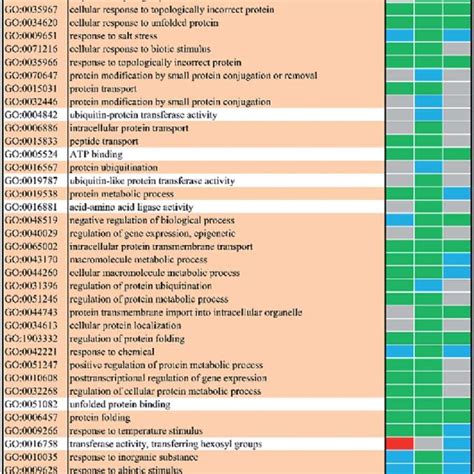 The Mds Clustering Patterns Of The Replicated Rna Seq Samples Features Download Scientific
